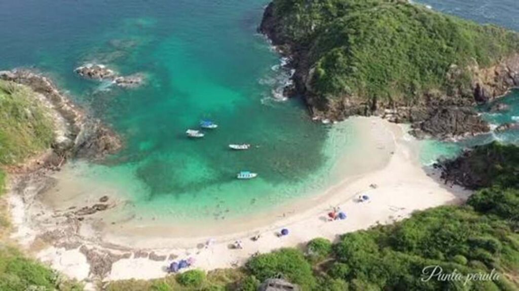 Discover Paradise - Property Journal