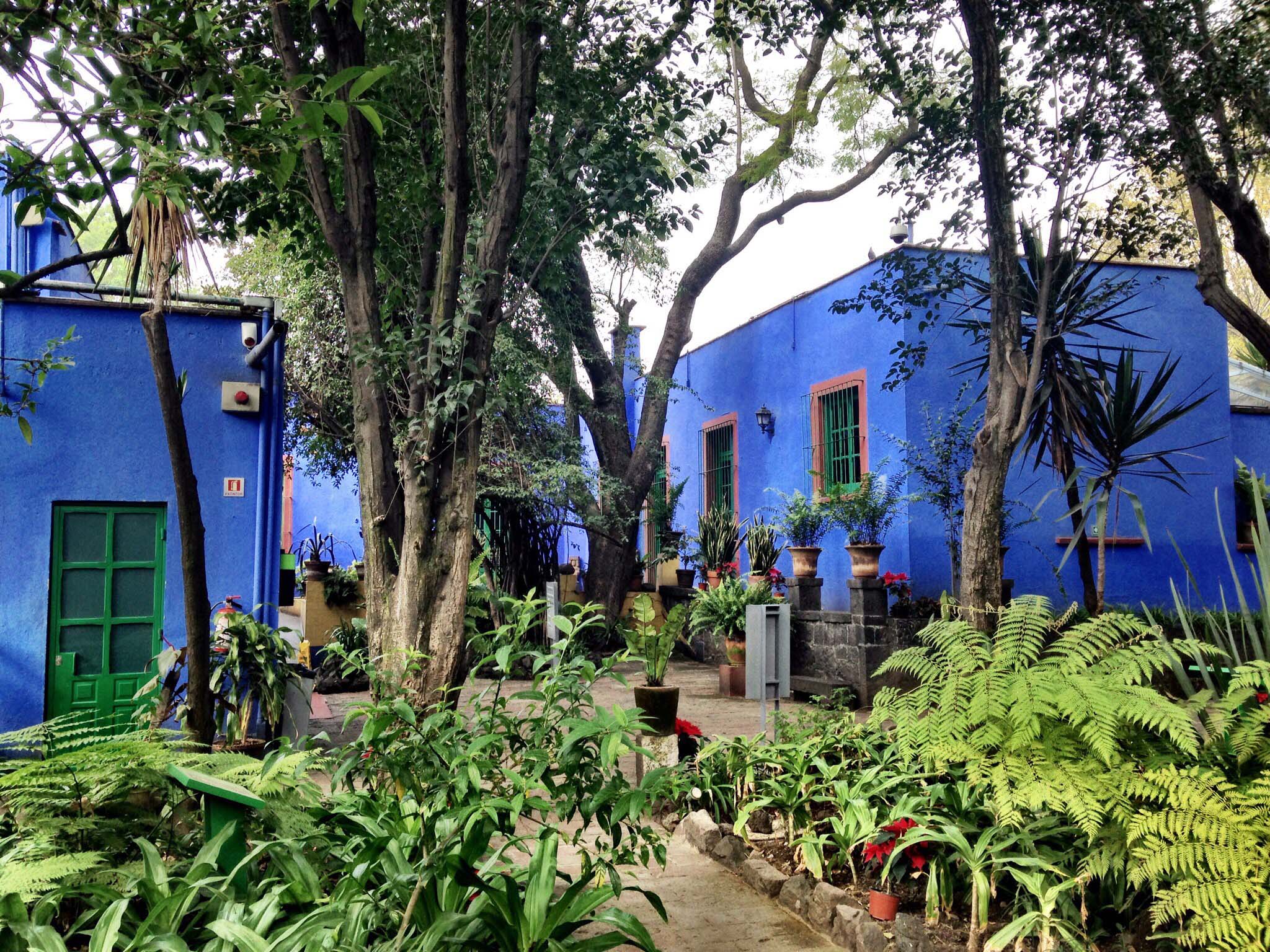 La Casa Azul: Testimonio de Amor, Arte y Cultura en el México de Frida ...